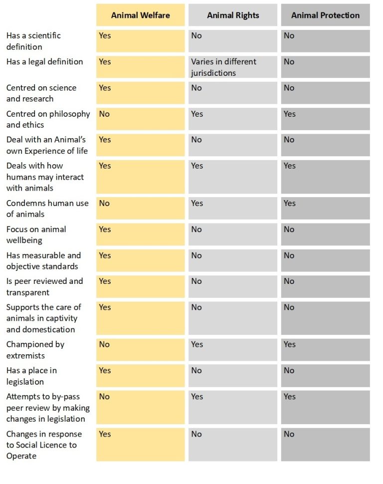 Animal welfare vs animal rights – Animal Care Australia